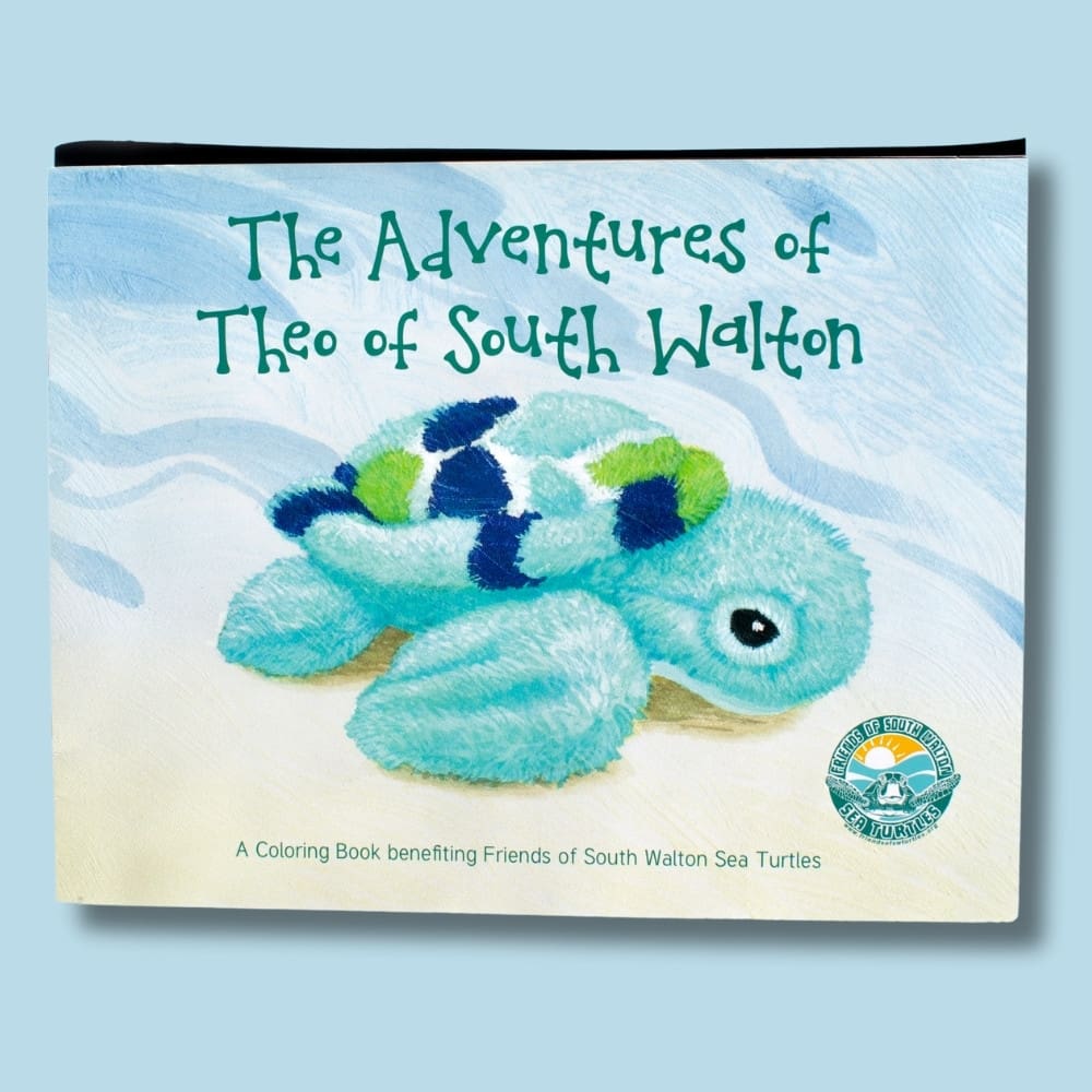 The Adventures of Theo Coloring Book - Theo the Turtle